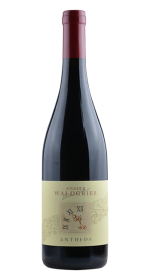 St. Magdalener Antheos | Ansitz Waldgries | weinzentrale.de