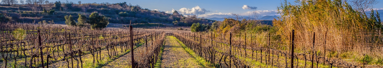Languedoc-Roussillon